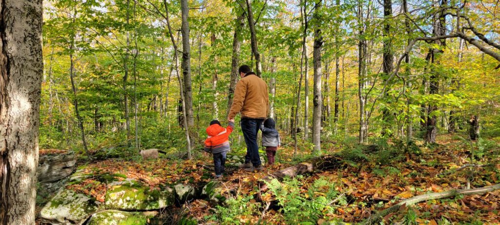 About – Goldscheins Homestead