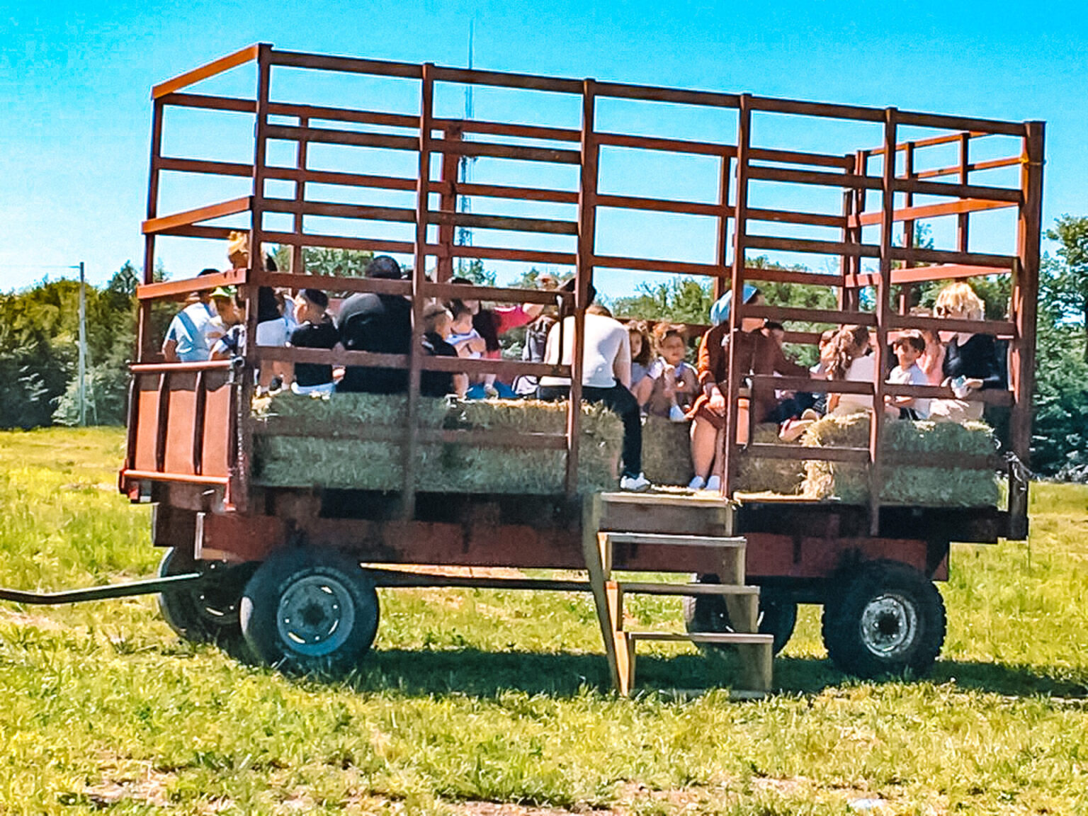 Goldscheins Homestead – Good, old fashioned family fun!