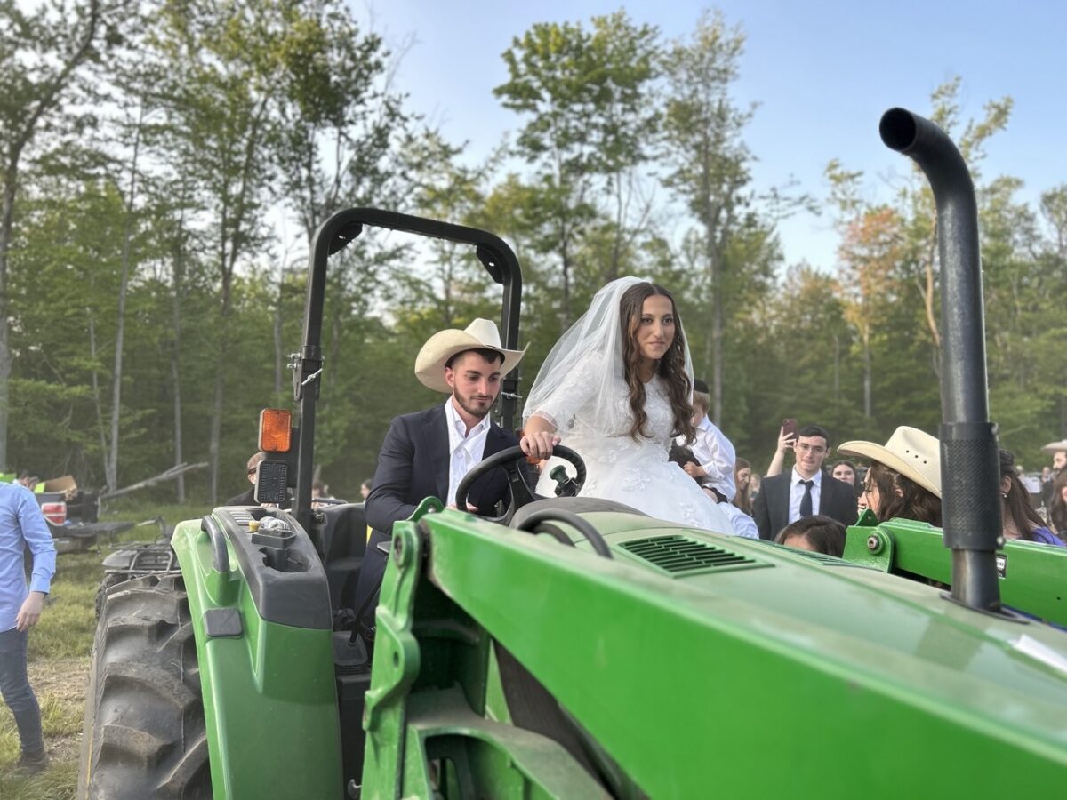 Gallery – Goldscheins Homestead